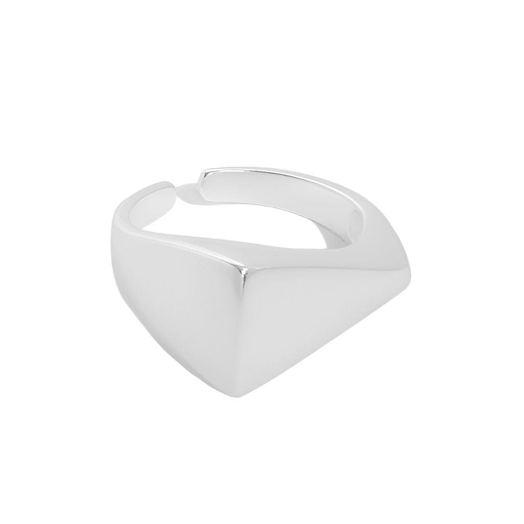 Silver Signet Ring - Europa – Jc&Unicorn